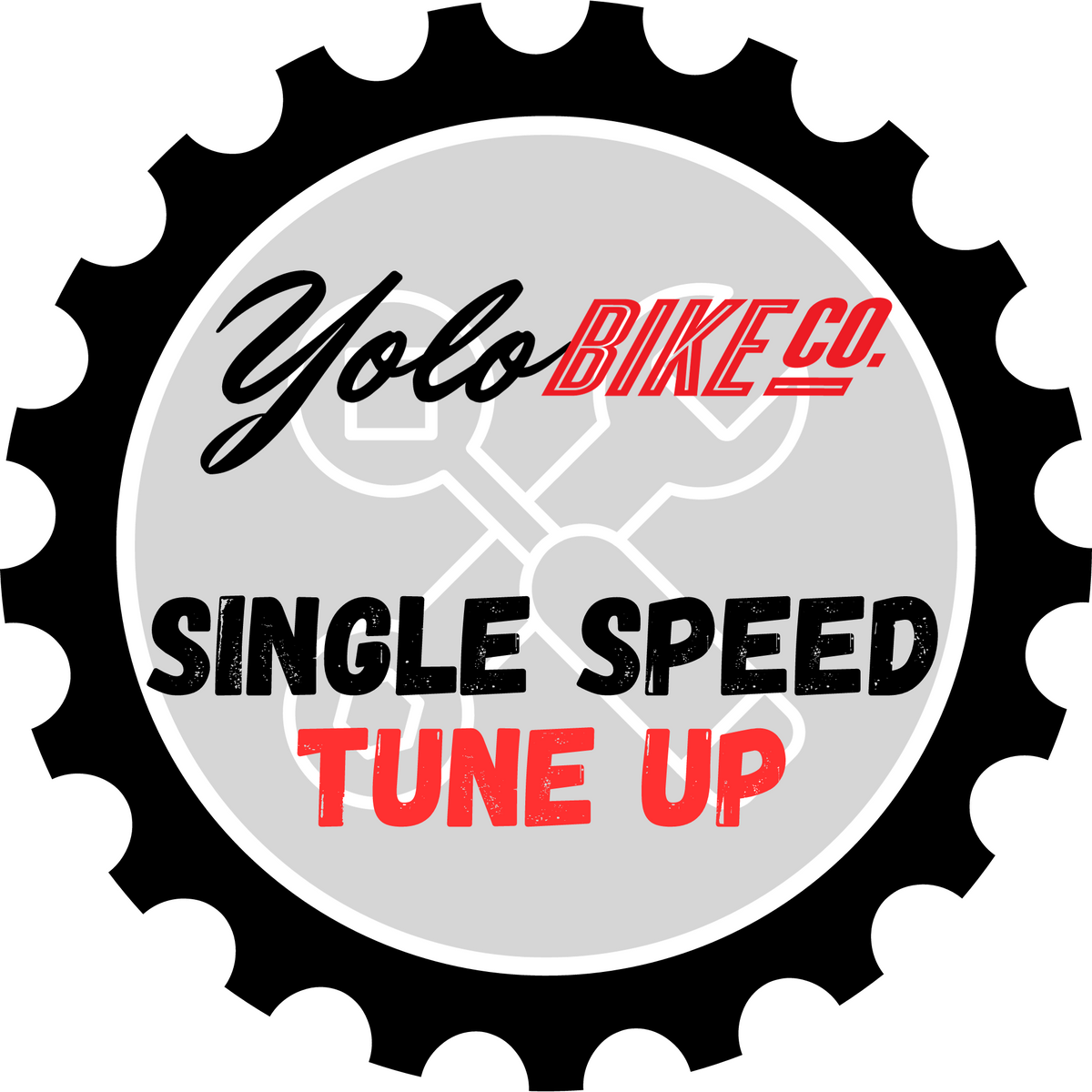 Single Speed Tune Up | YOLO Board and Bike